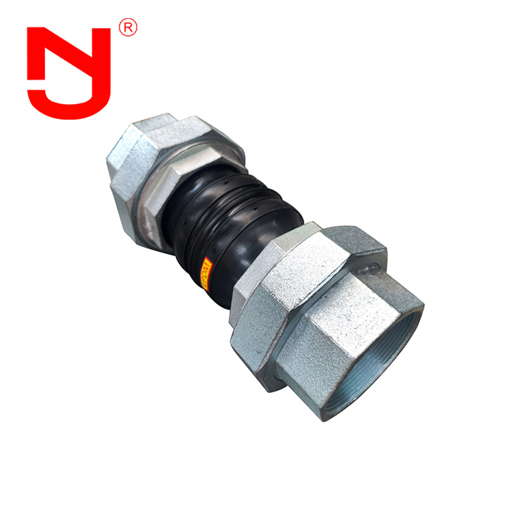 Stainless Steel Screwed Union Bspt Threaded Joint Expansion Joint Plumbing